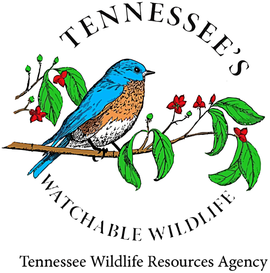 TWRA’s new Tennessee Watchable Wildlife web site now available ...