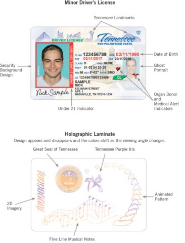 Department of Safety and Homeland Security to Issue New Driver Licenses ...
