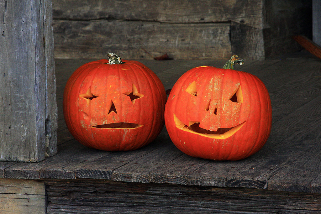 Land Between the Lakes to hold annual Snap Apple Night at The Homeplace ...