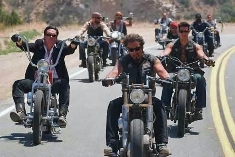 Dodging the Roadkill: What’s Your Story? - Clarksville Online ...