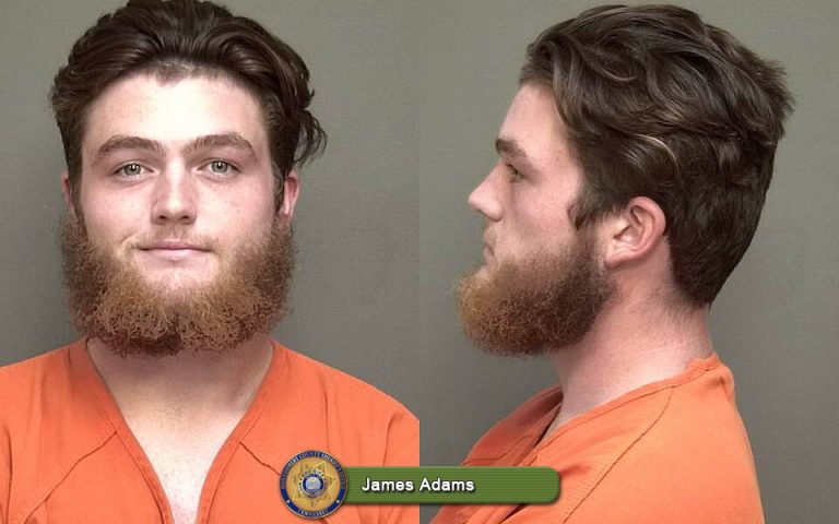 Montgomery County Sheriff's Office and Clarksville Police make Car ...