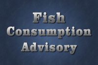 Tennessee Department of Environment and Conservation Issues ...