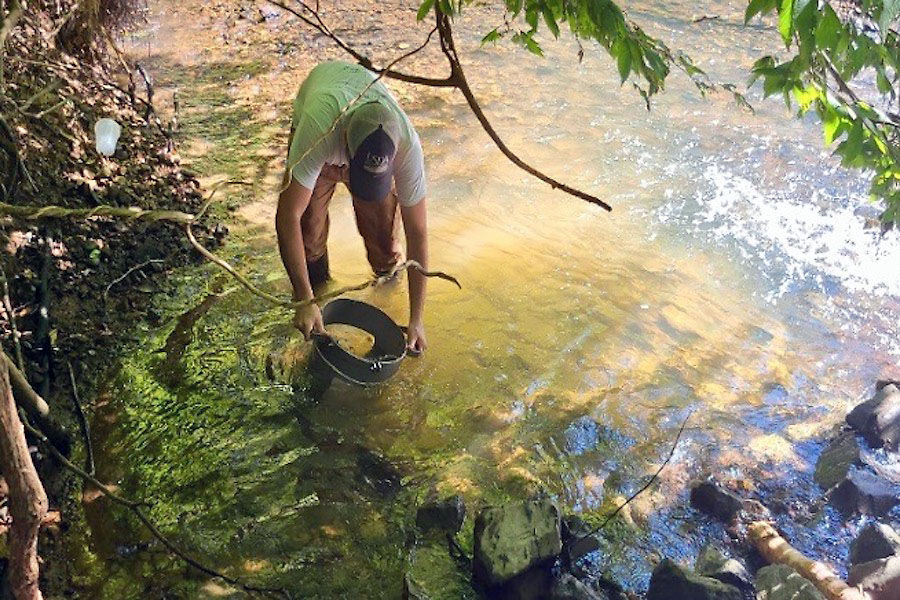 Austin Peay State University graduate student Trevor Walker identifies ...