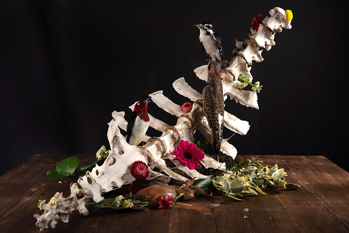 APSU Biology, Art Collaboration helps Photography Students ‘Think about ...