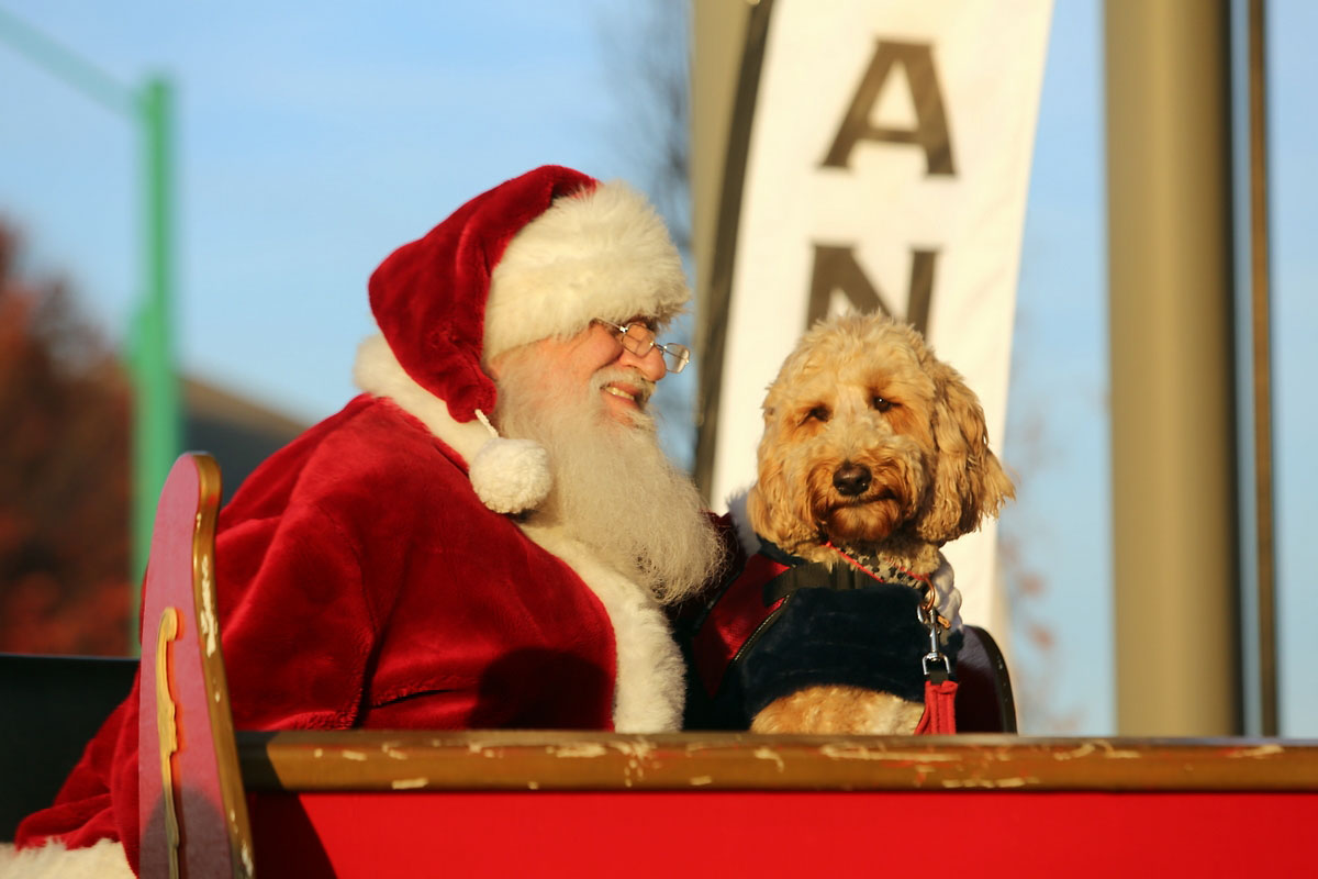 Pongo and Santa - Clarksville Online - Clarksville News, Sports, Events ...