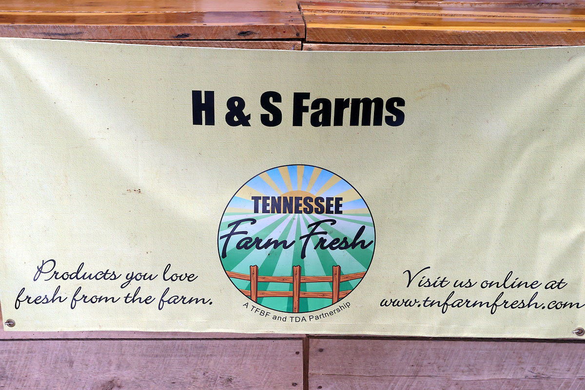 H&S Farms Delivers the Freshest Strawberries in Cunningham Tennessee ...