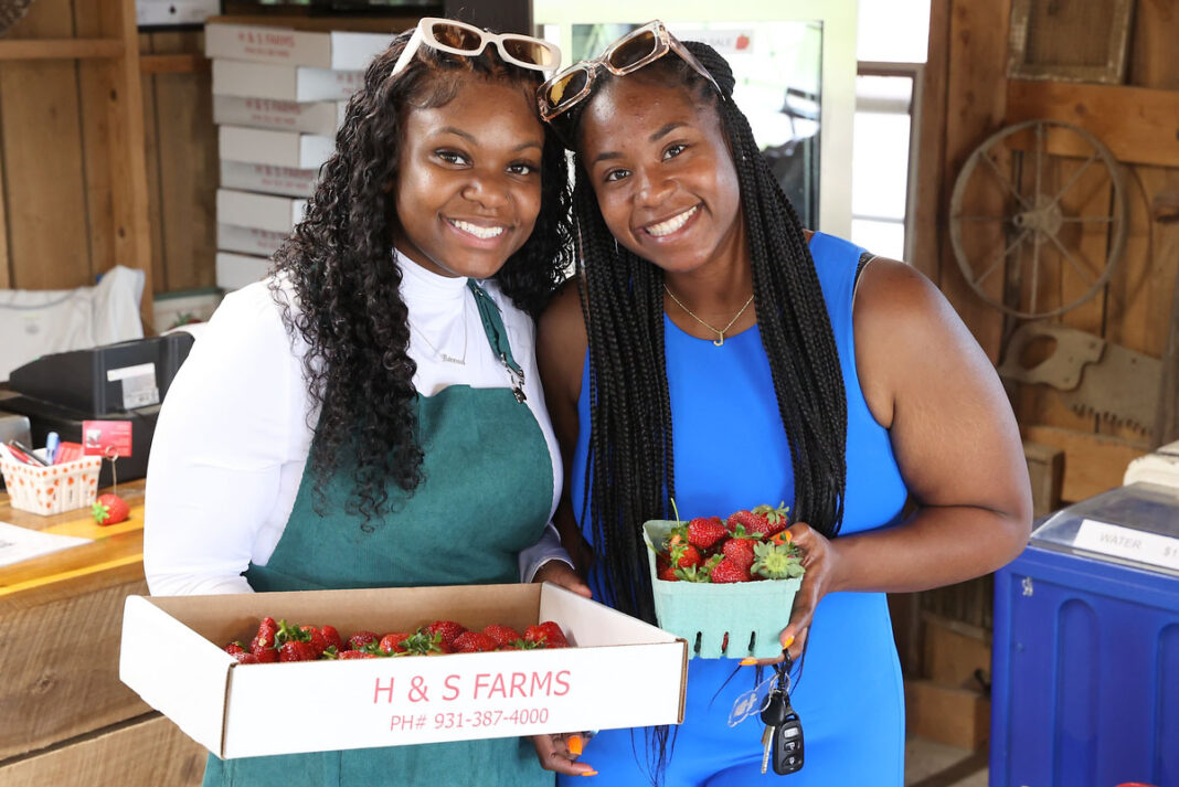 H&S Farms Delivers the Freshest Strawberries in Cunningham Tennessee ...
