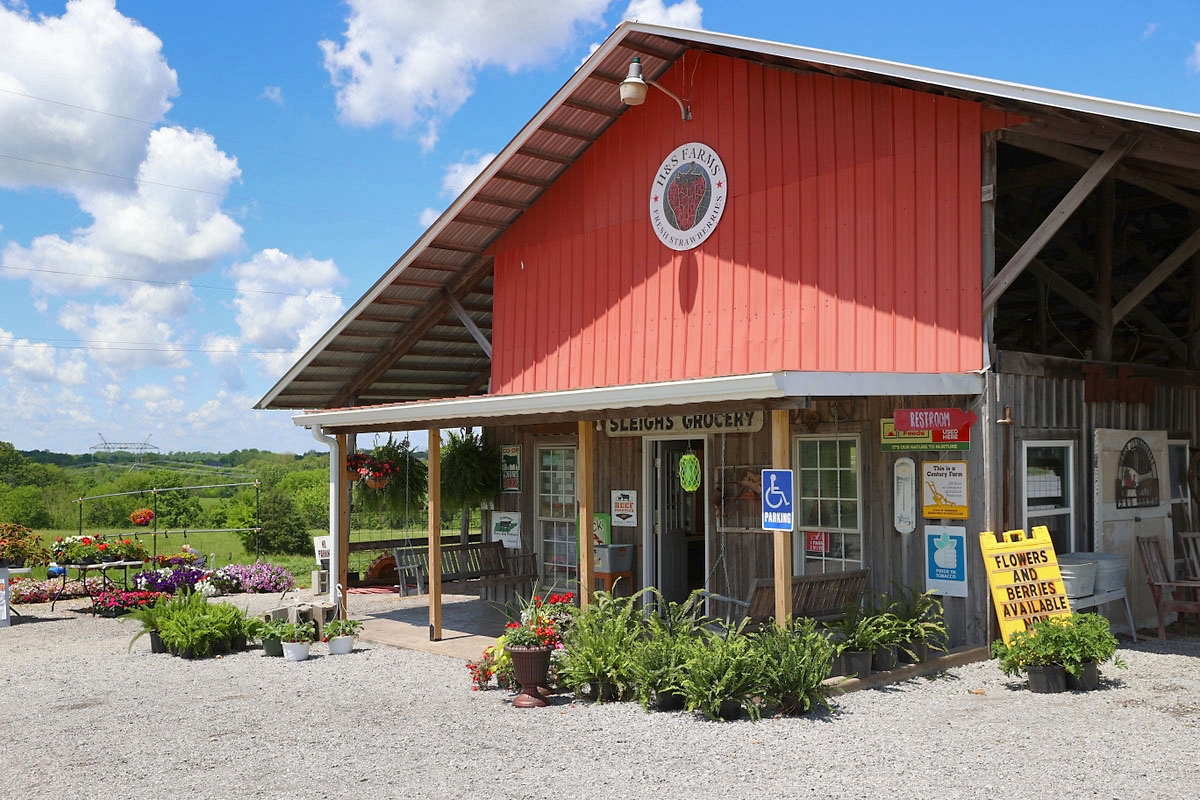 H&S Farms Delivers the Freshest Strawberries in Cunningham Tennessee ...